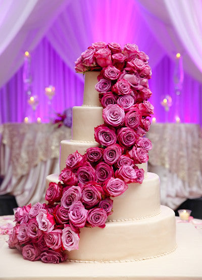 Endless Beauty – Sweet Dreams Bakery